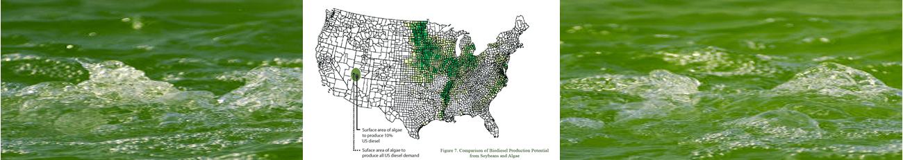 Algae Cultivation Systems - Open Ponds vs PBR - AlgaeForBiofuels
