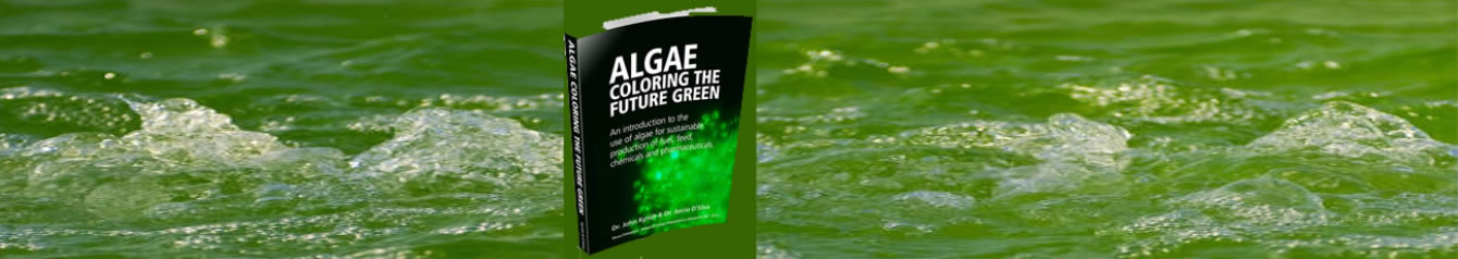 Algae Cultivation Systems - Open Ponds vs PBR - AlgaeForBiofuels