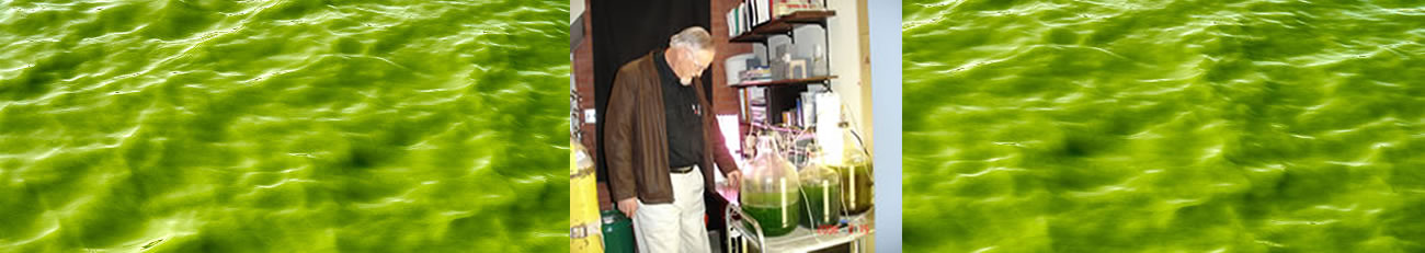 Algae Cultivation Systems - Open Ponds vs PBR - AlgaeForBiofuels
