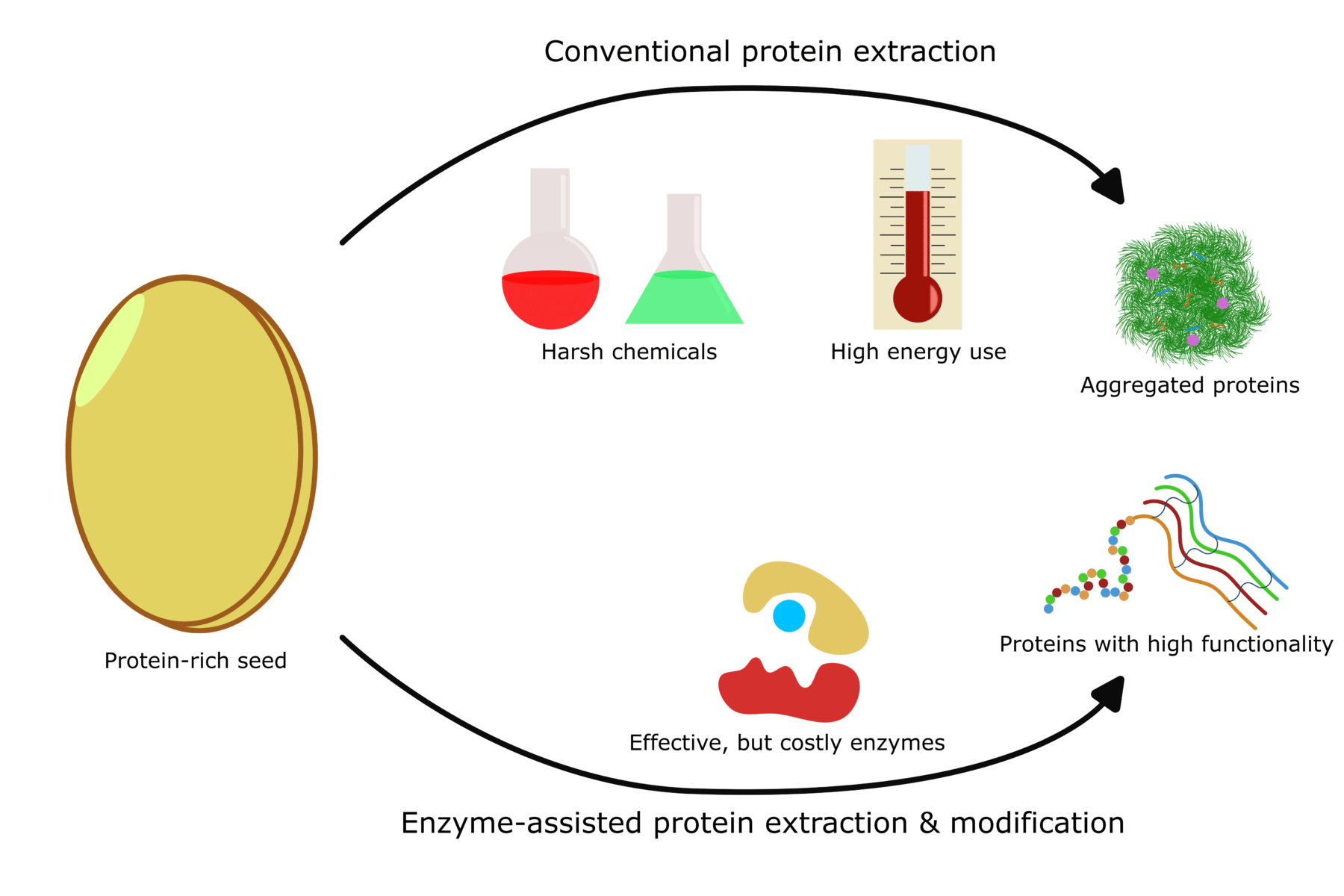 Unveiling the Power of Rice Protein Concentrate: A Nutritional Plus